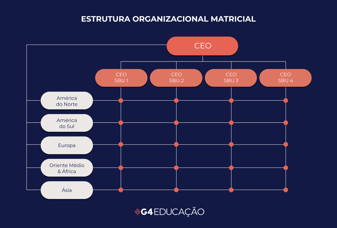 Como funciona a estrutura matricial e como ela melhora a gestão
